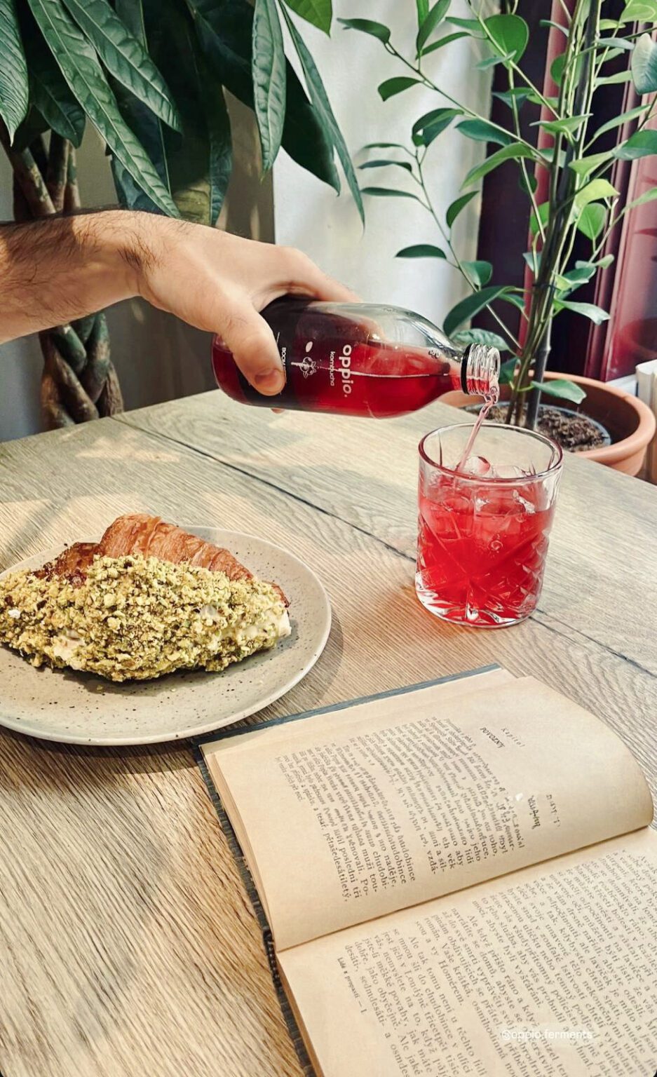 oppio. - autentická živá kombucha